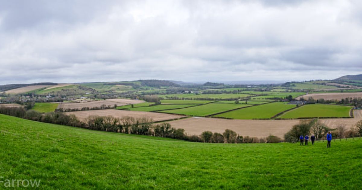 East Meon Circular - Brisk Pace - Ramblers